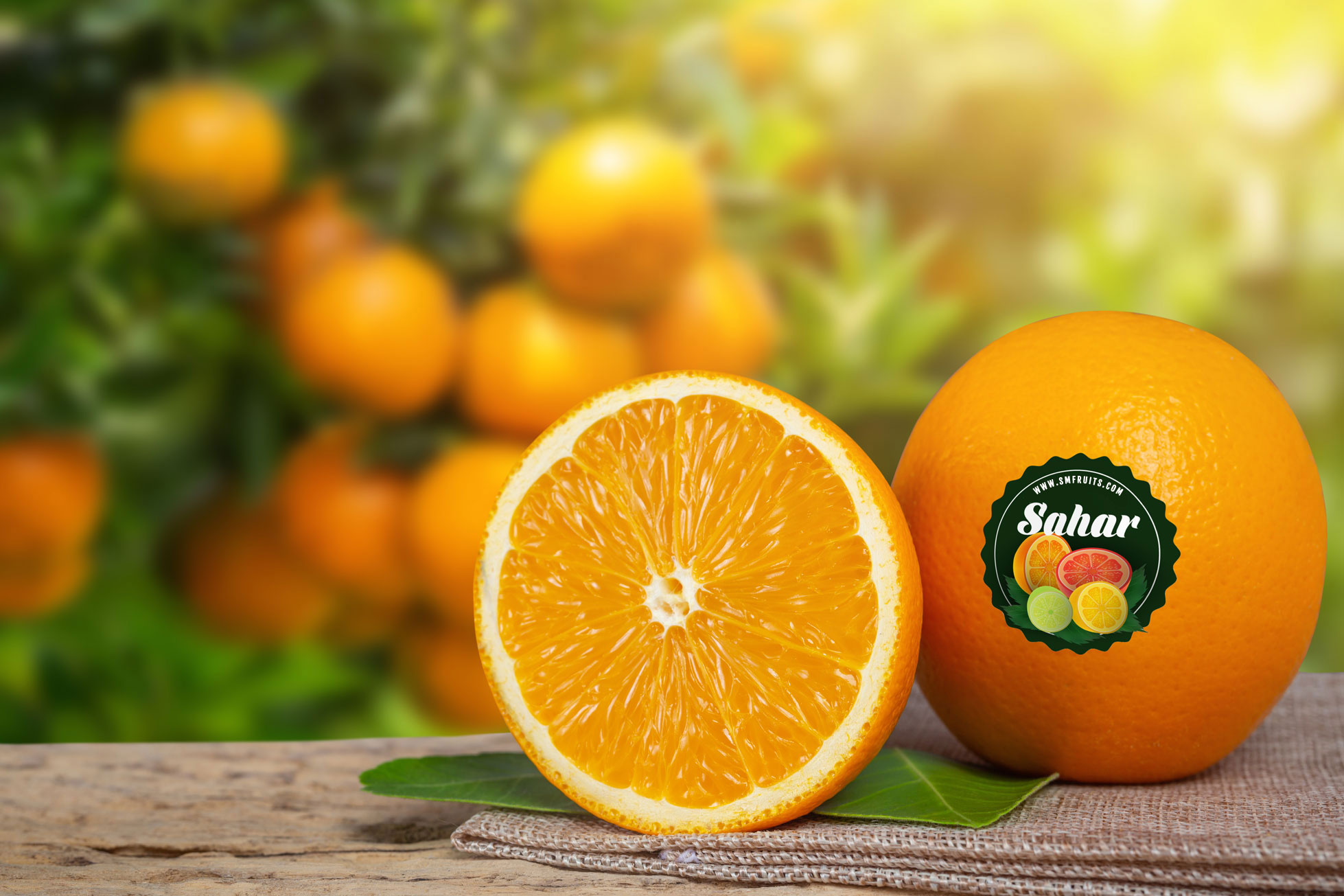 SM Fruits Morocco – Your Fruits & Vegetables Source